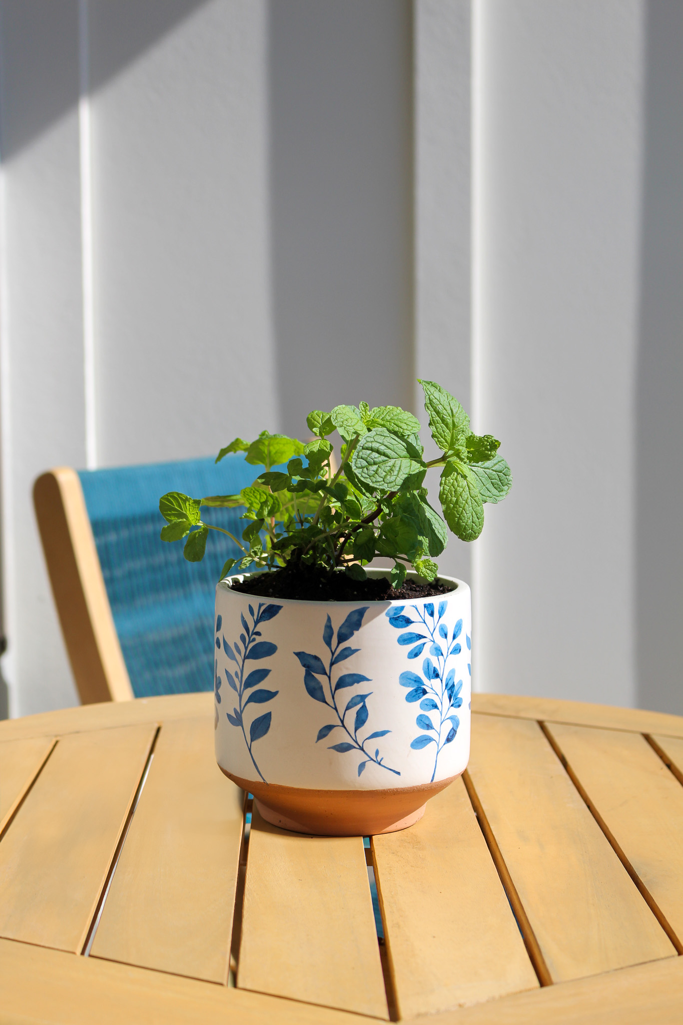 Container Gardening Guide - Foshee Residential